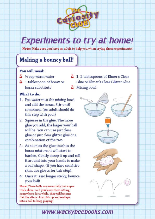 The Curiosity Club - Wacky Bee Books